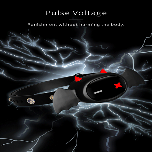APP Controlled BDSM Shock Collar for Humans Electric & Remote Training ...